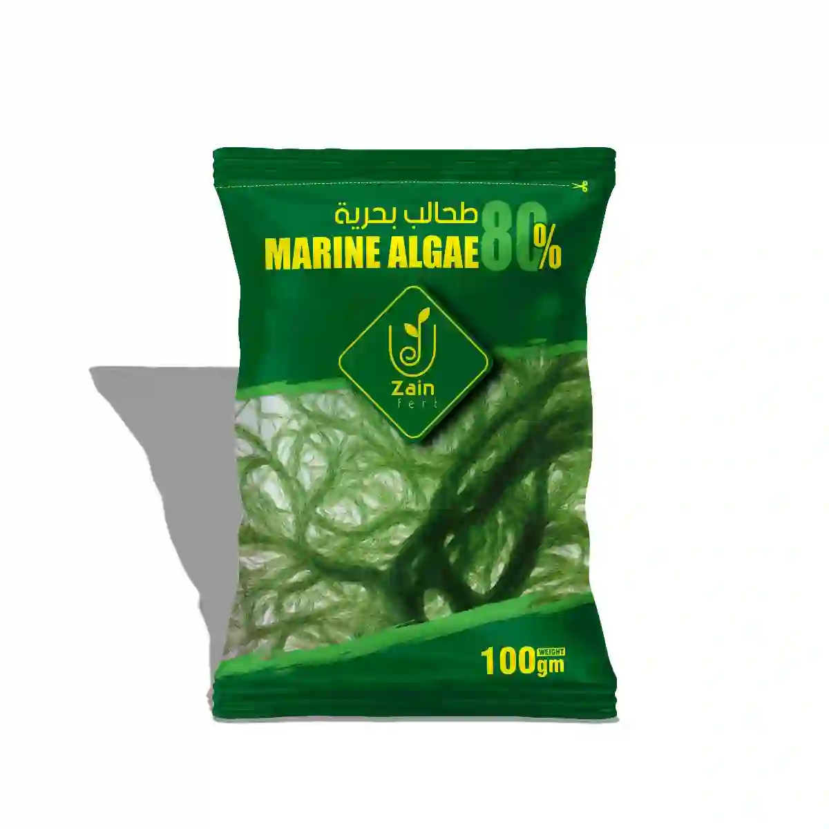 Zain Seeds