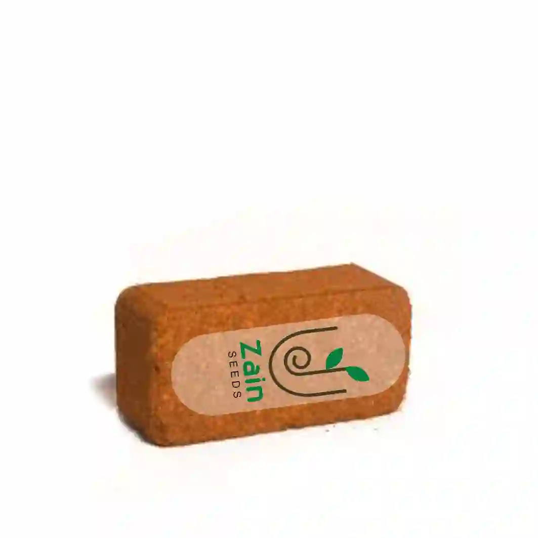Zain Seeds