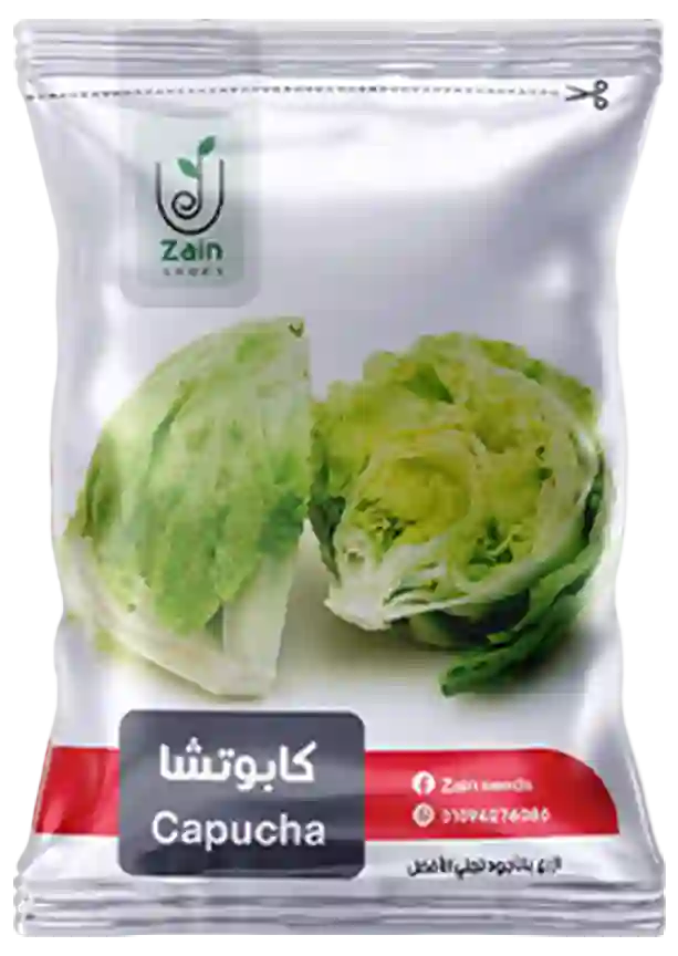Zain Seeds
