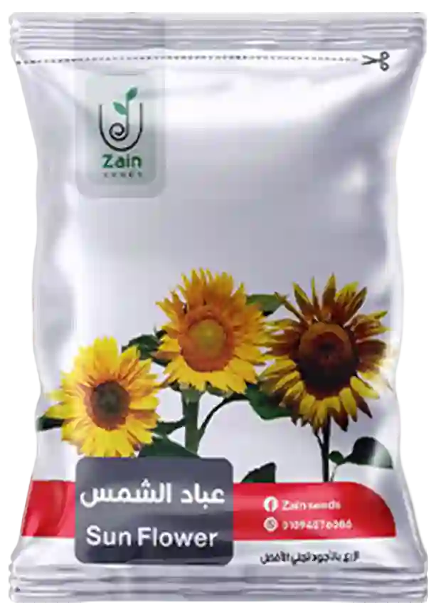 Zain Seeds