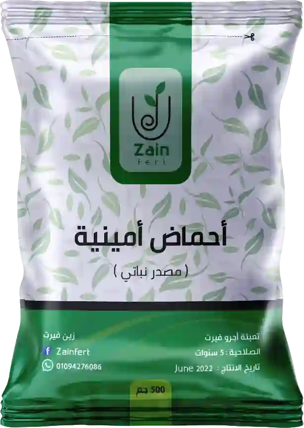Zain Seeds