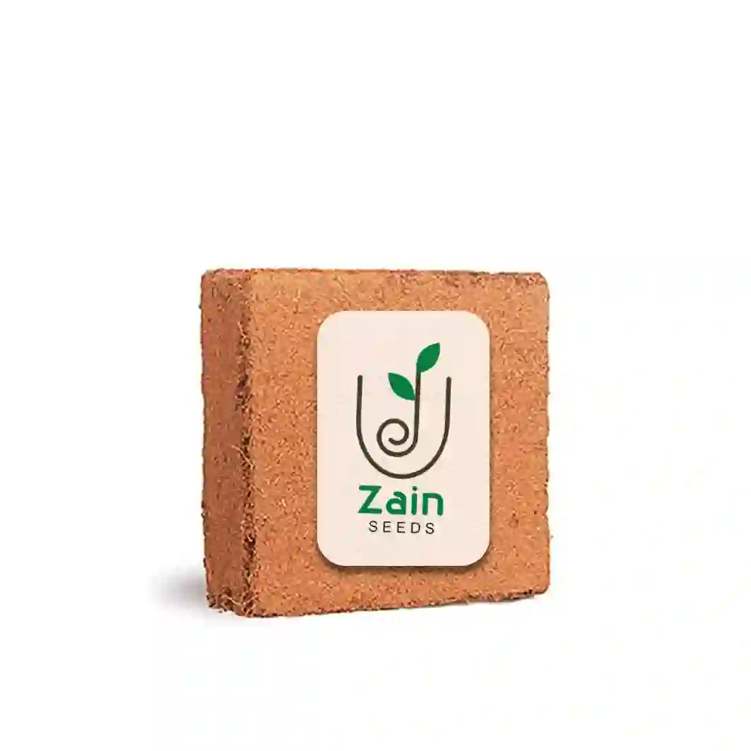 Zain Seeds